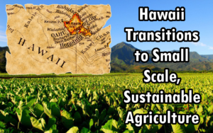 Hawaii Transitions to Small Scale, Sustainable Agriculture