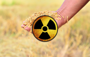 Govt OK's Growing Rice Within Fukushima Radiation Zone