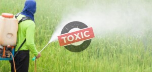 Monsanto's RoundUp Chemicals are Lethal, Even in Small Doses