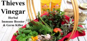 How to Make Your Own Thieves Vinegar: Boosting Total Immunity - Natural ...
