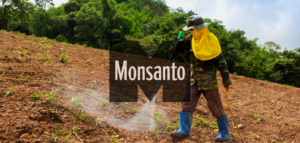 Monsanto to Spend $1 Billion on New Herbicide Following Roundup Cancer ...