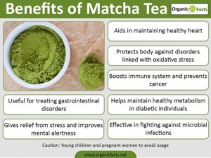 Matcha Green Tea KILLS Cancer Cells by Stopping Them From Refueling