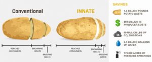 GMO Potato Creator Fears of 'Unintended Consequences'
