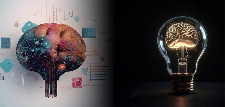 Brain Power and Nootropics: Unlock Your Minds Potential 💡