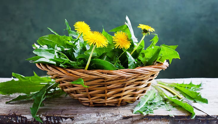Foods that Start with D: 12+ D Foods You MUST Try Today