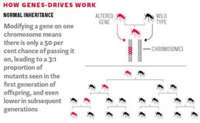 Scientists Warn “Supercharged” GMOs Could be Used as Bio-weapons