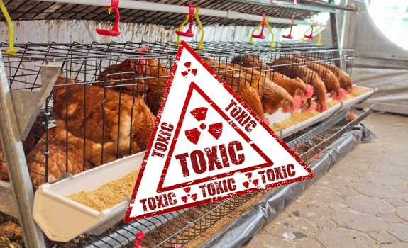 FDA to Finally Remove Arsenic from Animal Feed After Years of Inaction