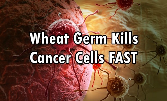 Avemar: Fermented Wheat Germ Kills All Types of Cancer Cells FAST