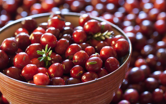 Cranberries Effective Against Urinary Tract Infection