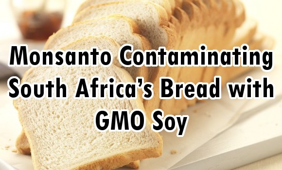 Monsanto Contaminating African White Bread with GMO Soy