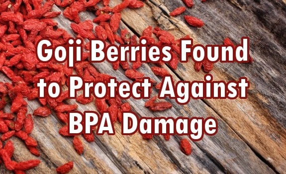 Goji Berries Could Mend BPA Damage in Male Reproductive Organs