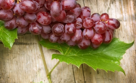 Compound in Grapes Found to Reverse Kidney Disease