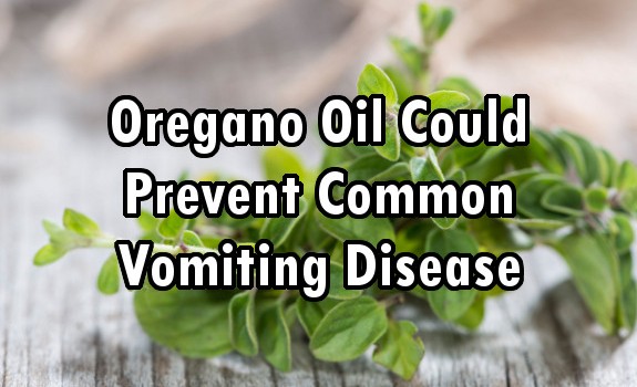 Oregano Oil Could Help People Recover from Contagious Norovirus