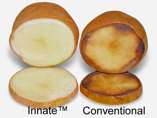 How to Know if You're Buying the New GMO Potato