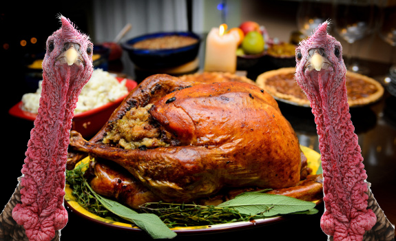 4 Nasty Things Your Holiday Turkey has Experienced