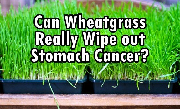 Did Wheatgrass Cure 74-Year Old’s Stomach Cancer?